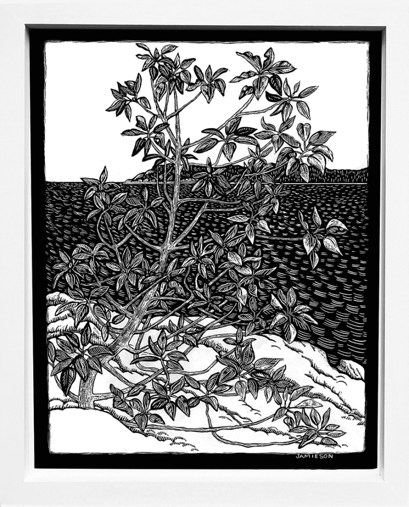 Arbutus Tree, B&W - Marion-Lea Jamieson, Artist